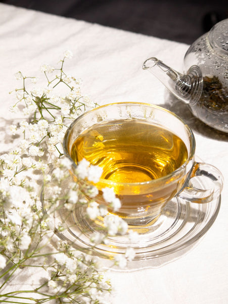 Willow-herb, black, large-leaf Ivan-Chay – TwoTea22.com